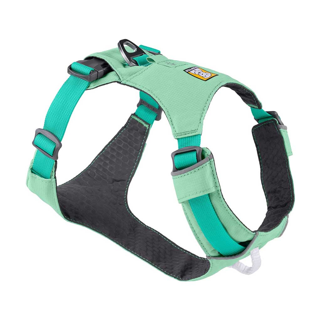 Hi & Light Harness – Shore Thing Pet Supply